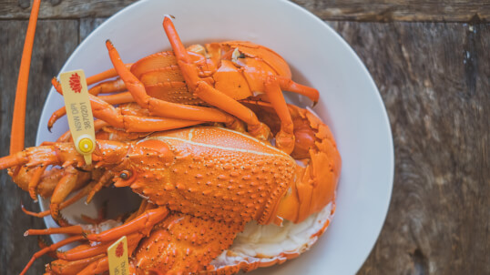 Seafood | Port Fresh Seafoods